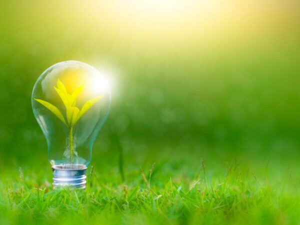 The USPTO’s Climate Pilot Fast-Tracks The Patent Process, Presents ...