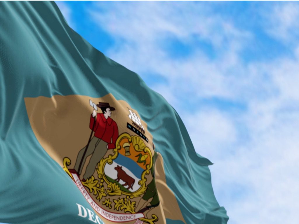 Delaware Court Opinion Highlights Importance of Clear Integration and ...