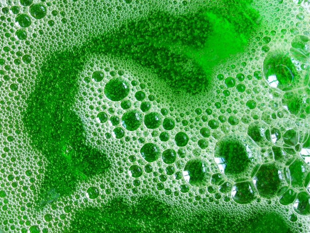 Greenwashing Cases Vs. Exxon, BP, and JBS Flounder in New York Courts ...